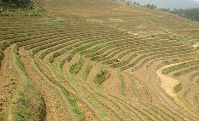 HDPE Sprinkler Pipes & Fittings – Vasani Polymers